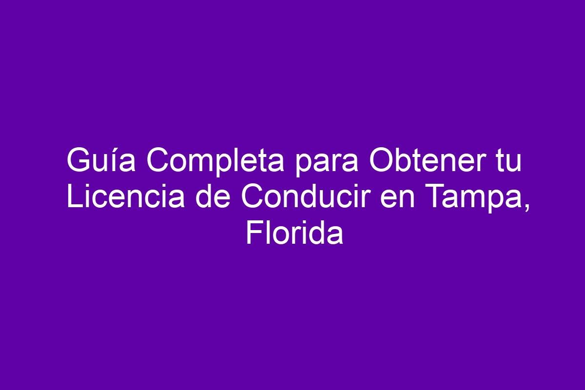 Guía Completa para Obtener tu Licencia de Conducir en Tampa, Florida
