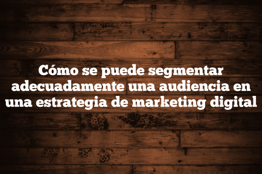 Cómo se puede segmentar adecuadamente una audiencia en una estrategia ...
